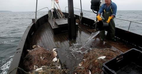 Why Is Overfishing a Problem, and What Can Be Done About It?