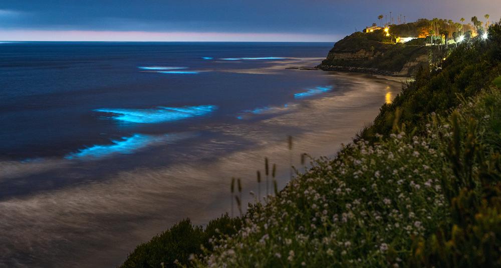 Bioluminescent Waves Light up Southern California's Coastline