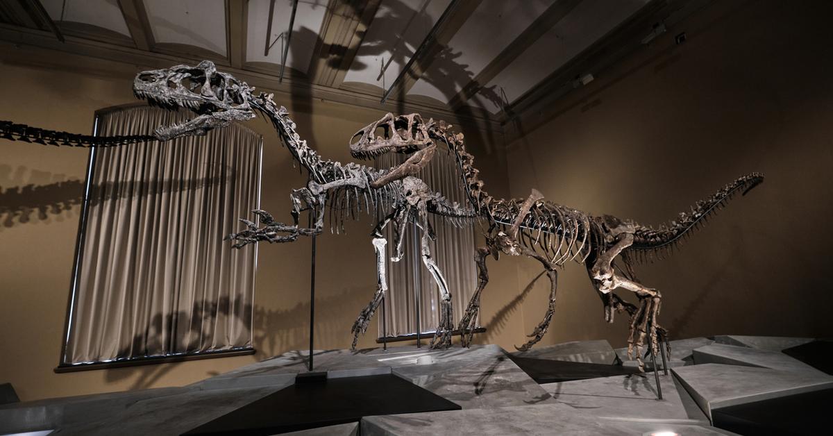 This List of Scary Extinct Animals is Beyond Spooky