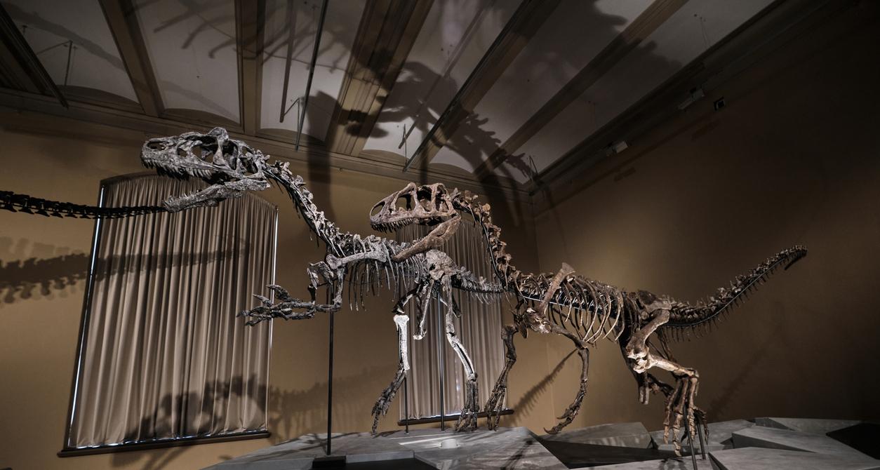 This List of Scary Extinct Animals is Beyond Spooky