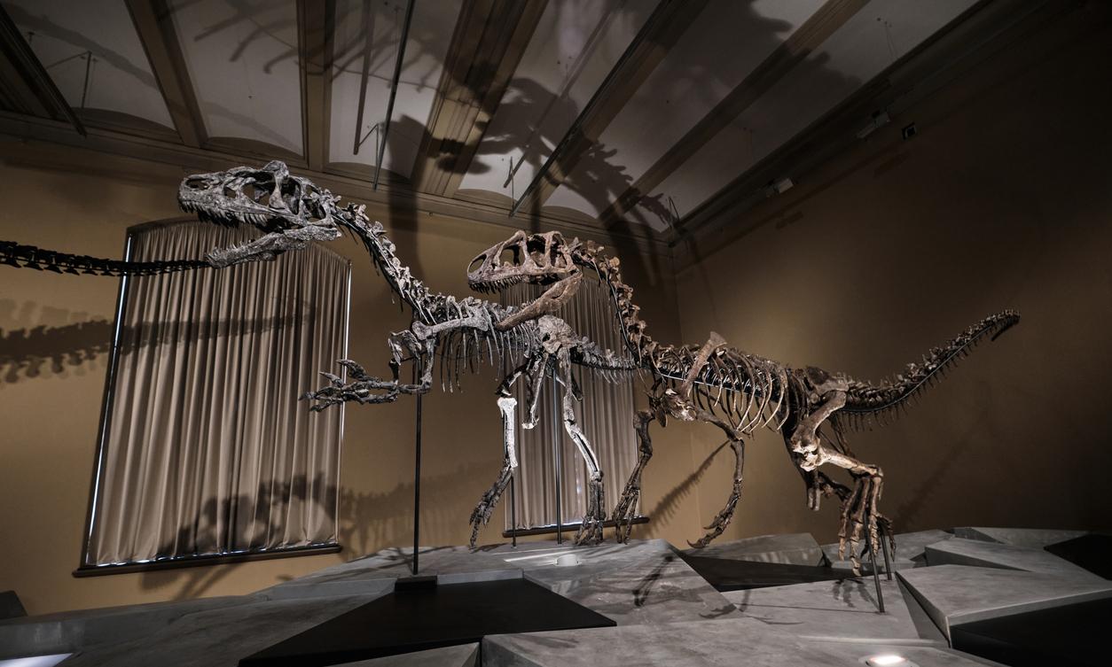 This List of Scary Extinct Animals is Beyond Spooky