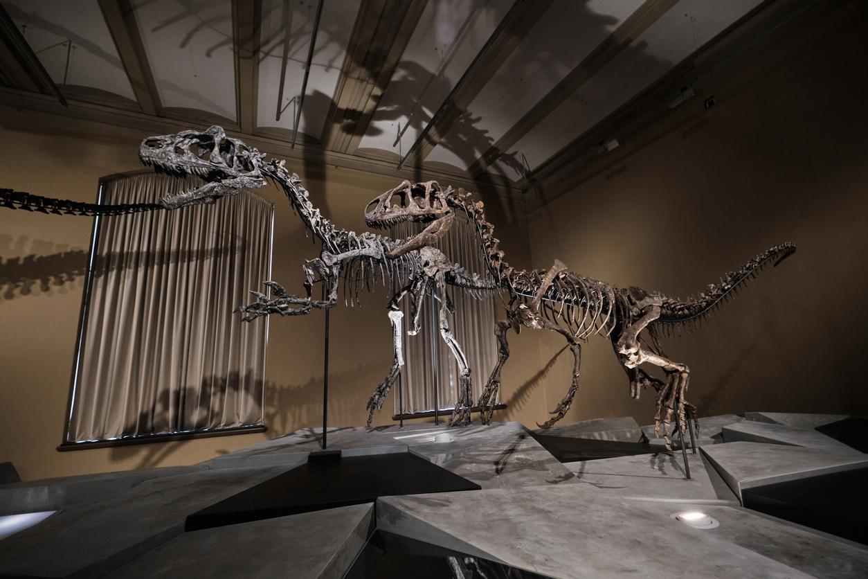 This List of Scary Extinct Animals is Beyond Spooky