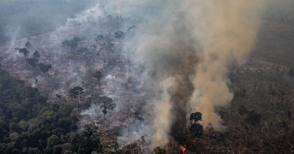 Amazon Rainforest Fires on Course to Repeat Last Year's