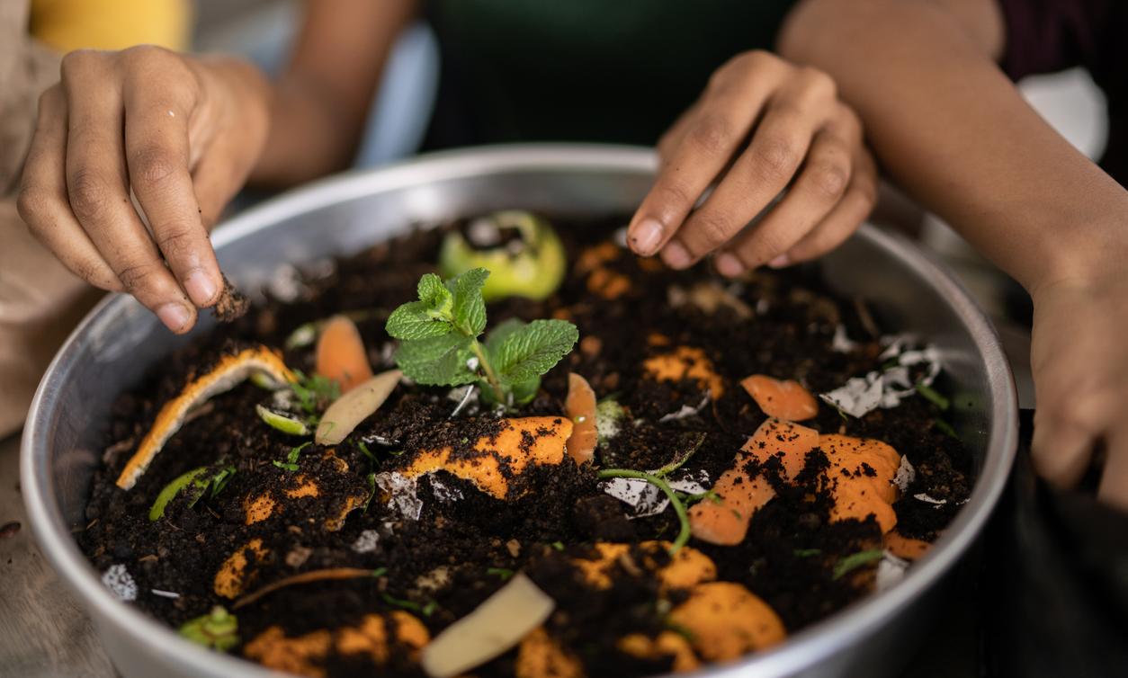 How Are Organic Foods Grown?