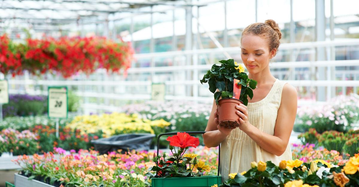 Celebrate With Sustainably Sourced and Low-Impact Flowers