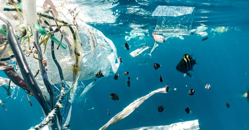 Microplastic Solutions That Might Help Solve Our Plastic Problem