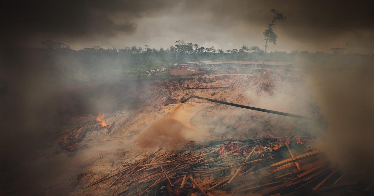 Deforestation in the Congo Could Be Prevented With Financial Compensation