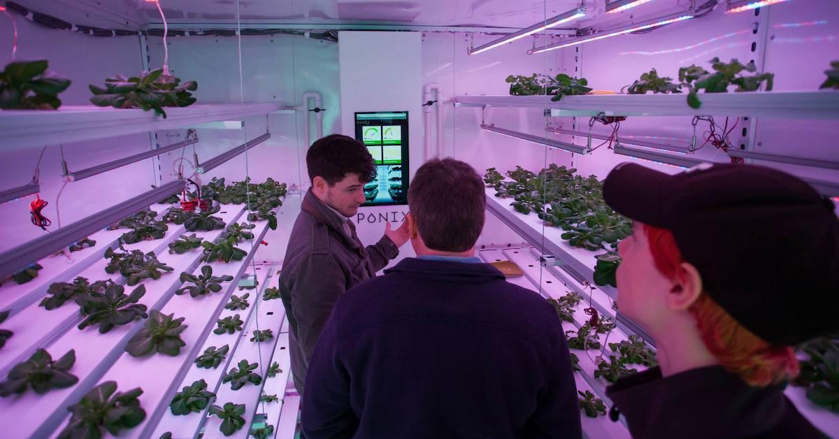 This Company Is Using Hydroponic Technology to Increase Food Security