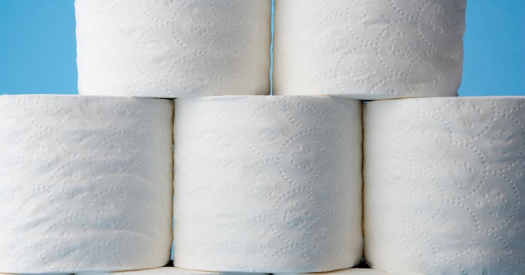Eco-Friendly Toilet Paper for a Zero-Waste Bathroom