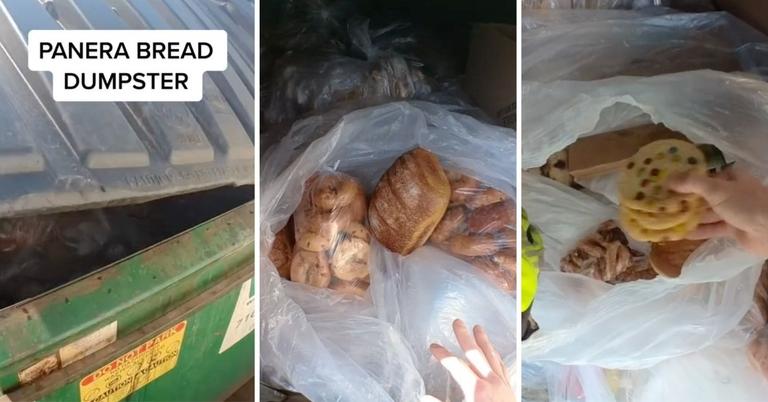 How Much Food Does Panera Waste Inside Their Sustainability