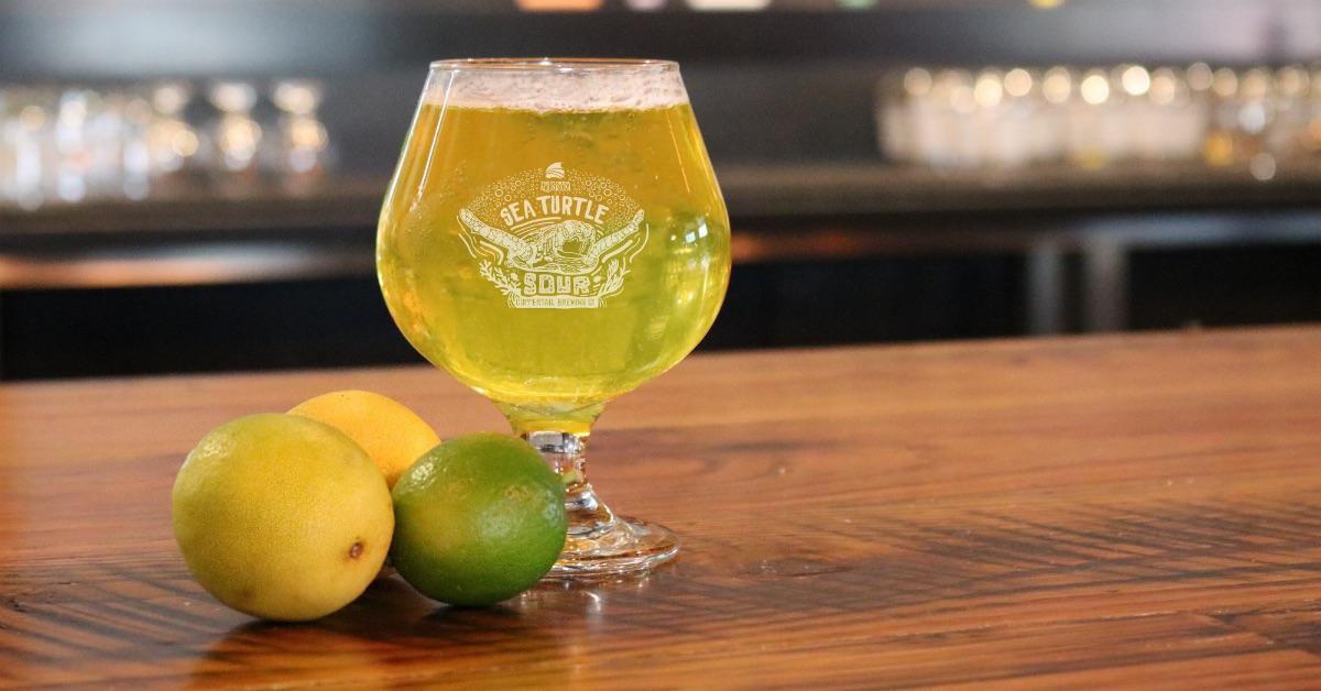 Coppertail Brewing's Sea Turtle Sour Beer Benefits Endangered Species