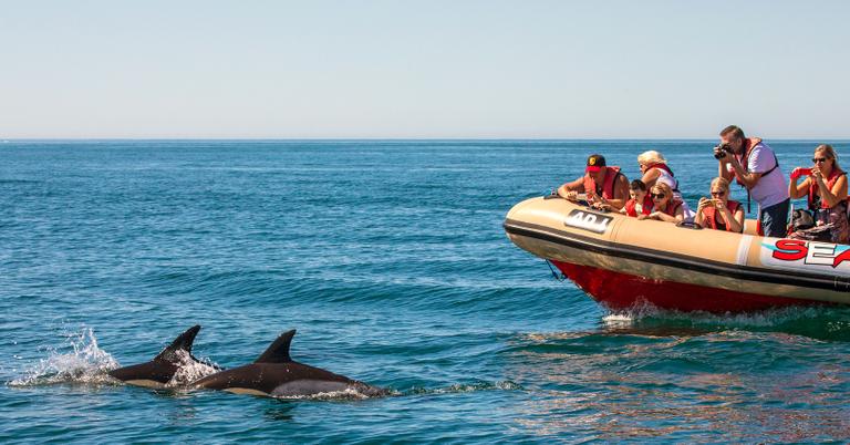 6 Ways To Be Good To Wildlife When You Travel