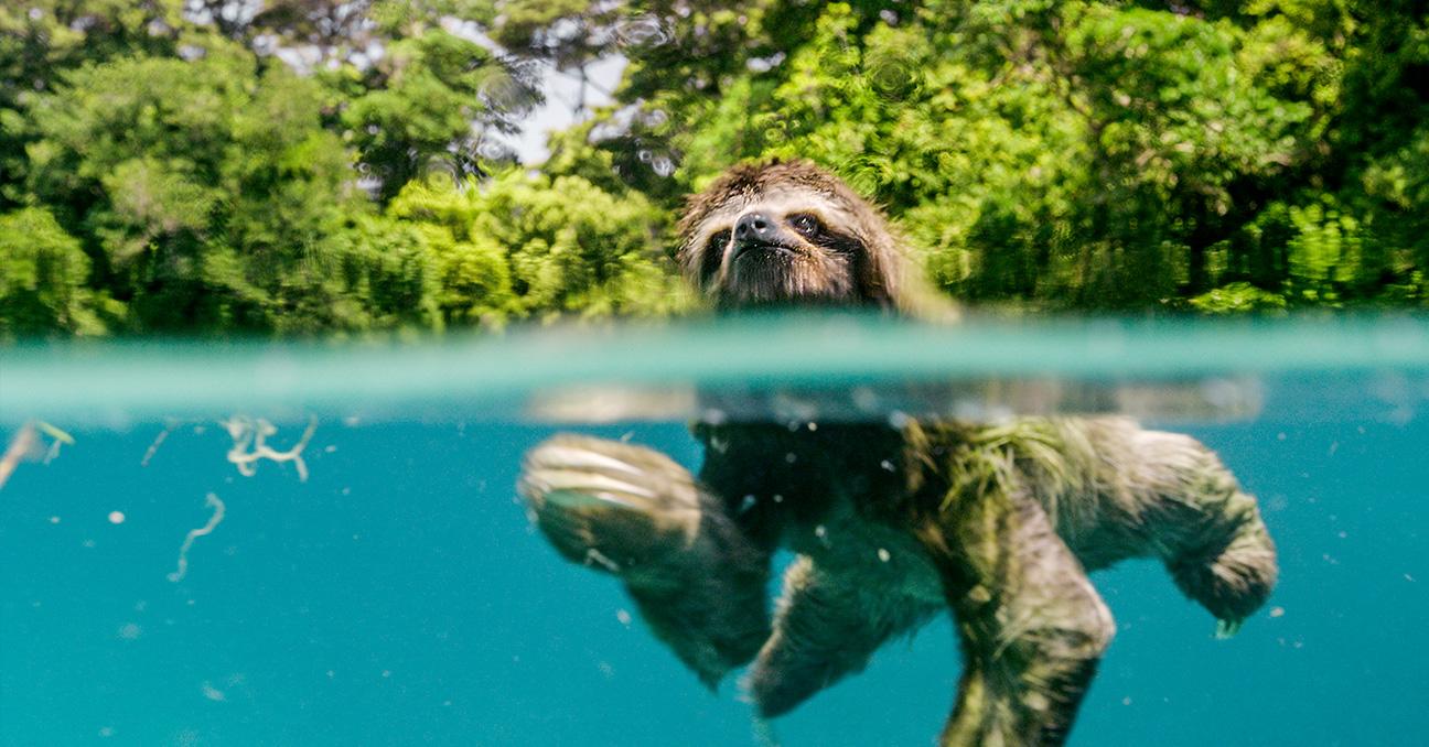 New 'BBC' Nature Documentary Showcases 24 Hours On Earth