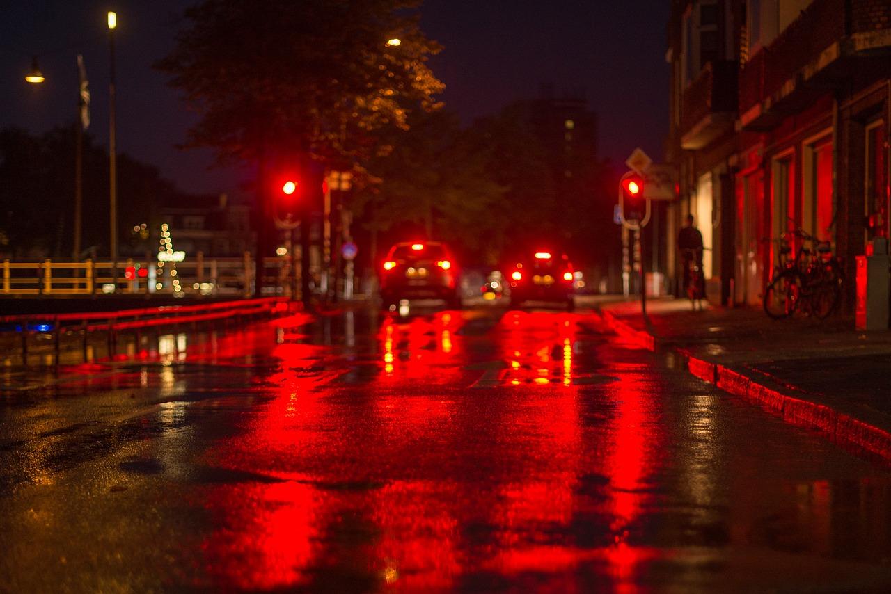This Dutch Town Installed Bat-Friendly LED Street Lights