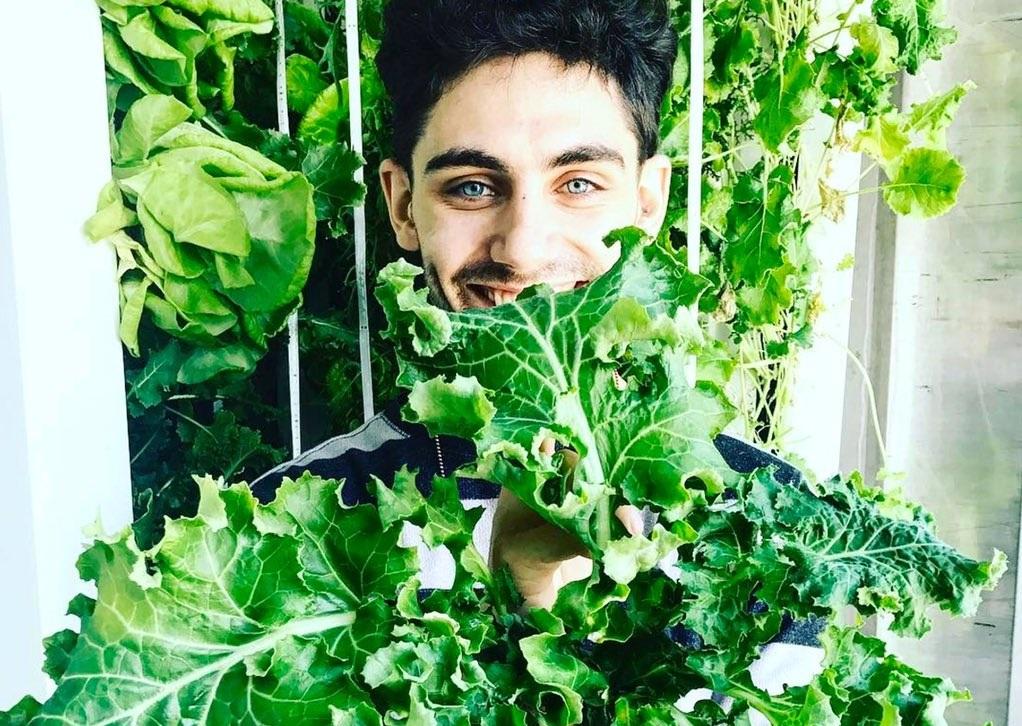 'Square Roots' Grows Fresh Greens In Brooklyn's Retired Shipping Containers