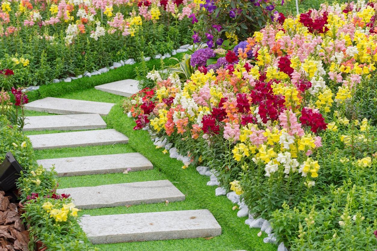 Beautiful lawn styles that are also great for the environment