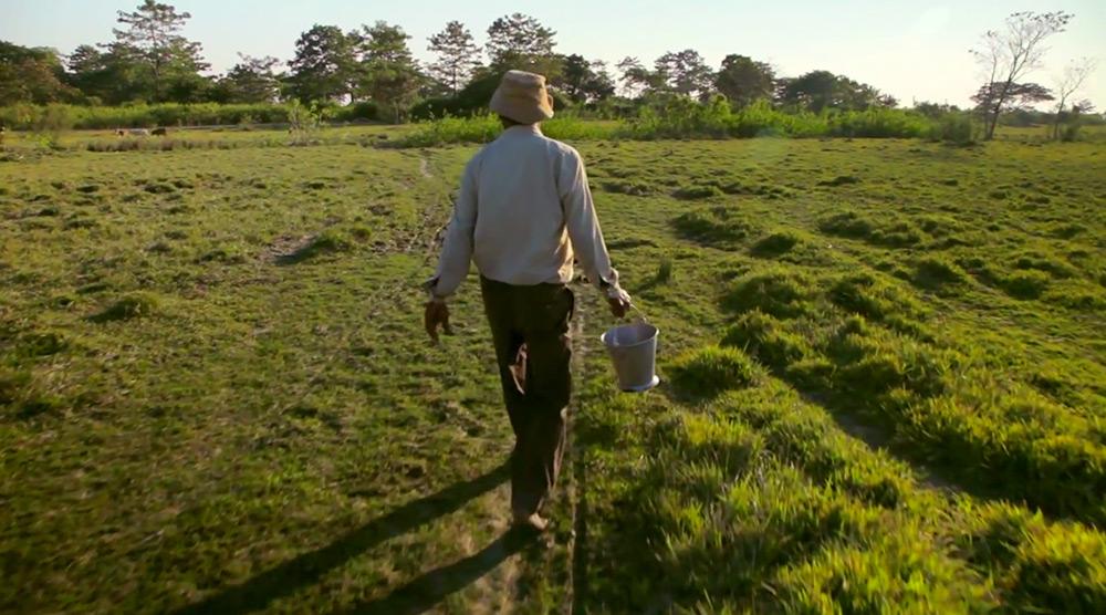 Man Plants a Tree a Day for 37 Years in Forest Man Documentary