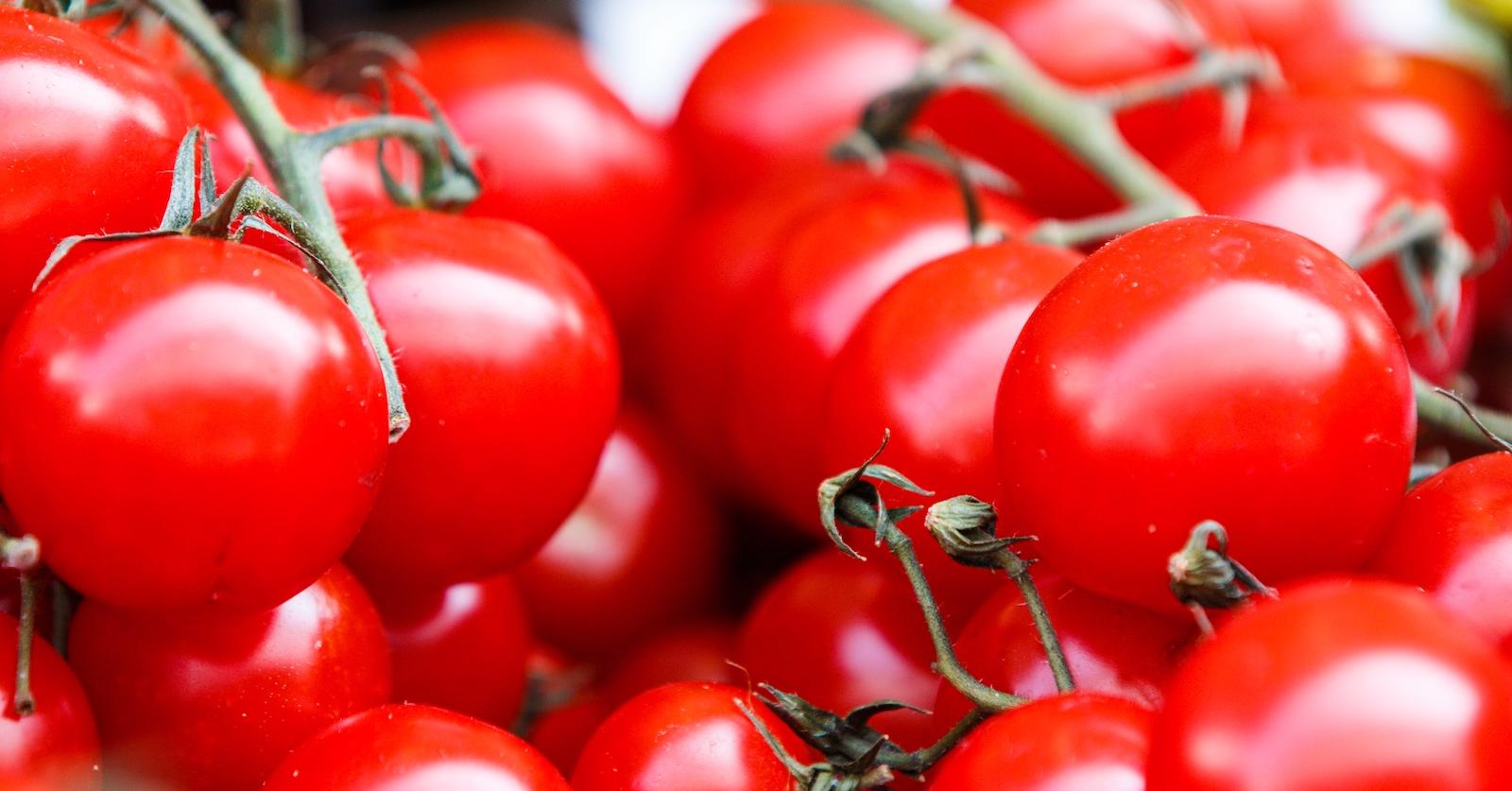 Scientists Have Genetically Engineered The 'Perfect' Tomato