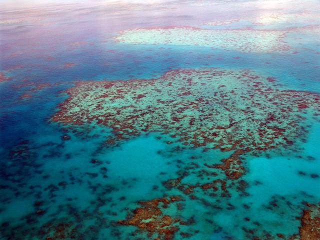 'Sun Shield' Creates Biodegradable Shade For Great Barrier Reef