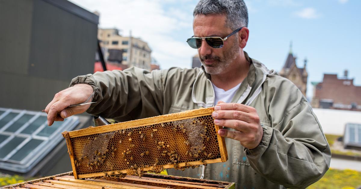 These Beekeepers Are Growing Hives On Rooftops And Their Own Backyards