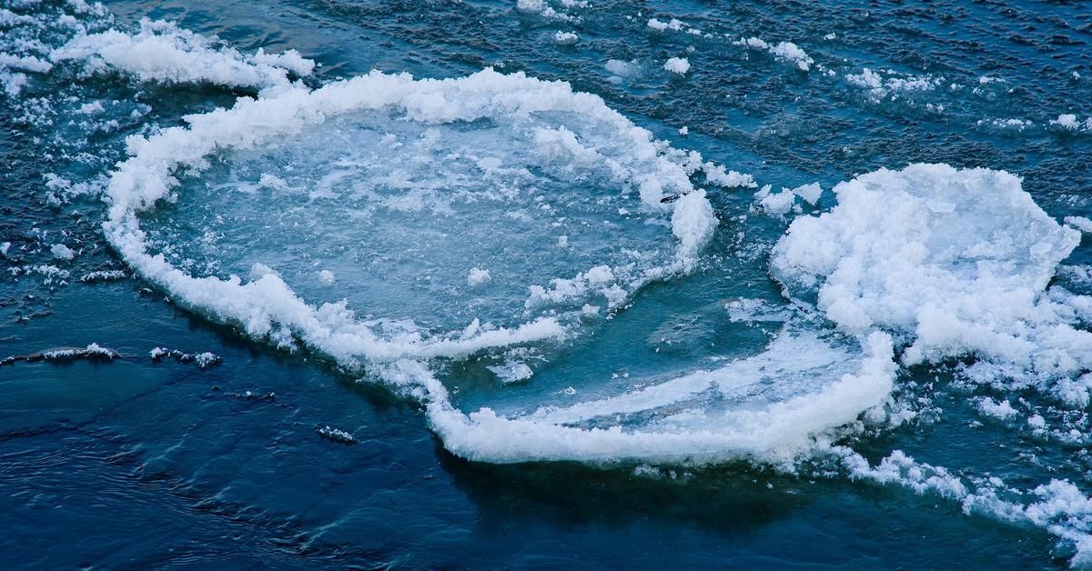 Bacteria trapped in Ice can come alive as it melts