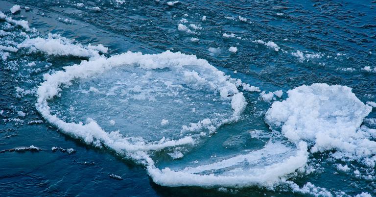 Bacteria trapped in Ice can come alive as it melts