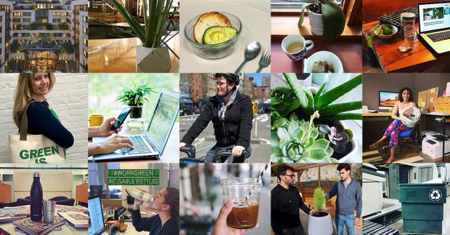 Green Matters - Green Matters