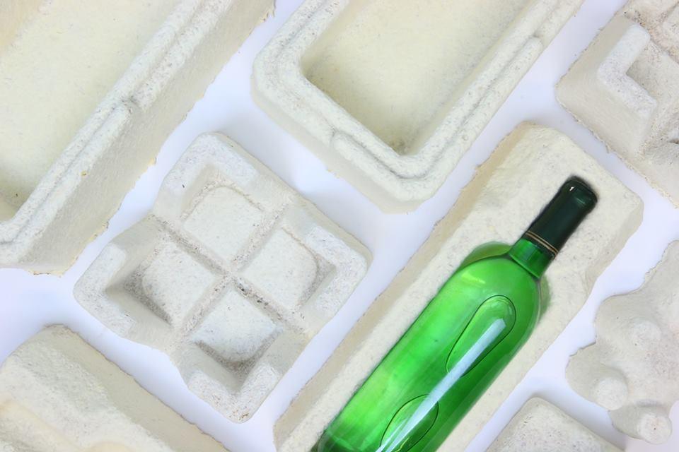 Ecovative Makes Plastic-Free Packaging Out of Mushrooms — Details