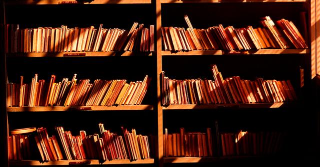 National Library Week 2022: Theme, Molly Shannon's Involvement, and More