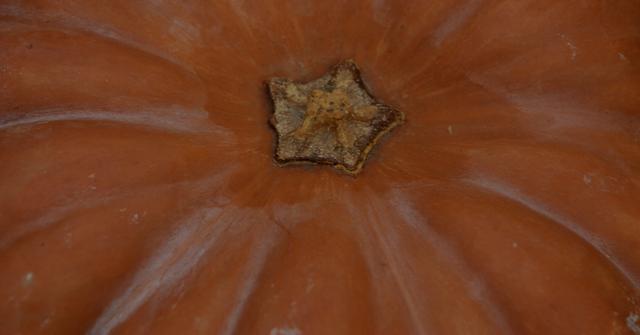 Recipes That Use Rinds and Peels, to Reduce Your Kitchen Waste