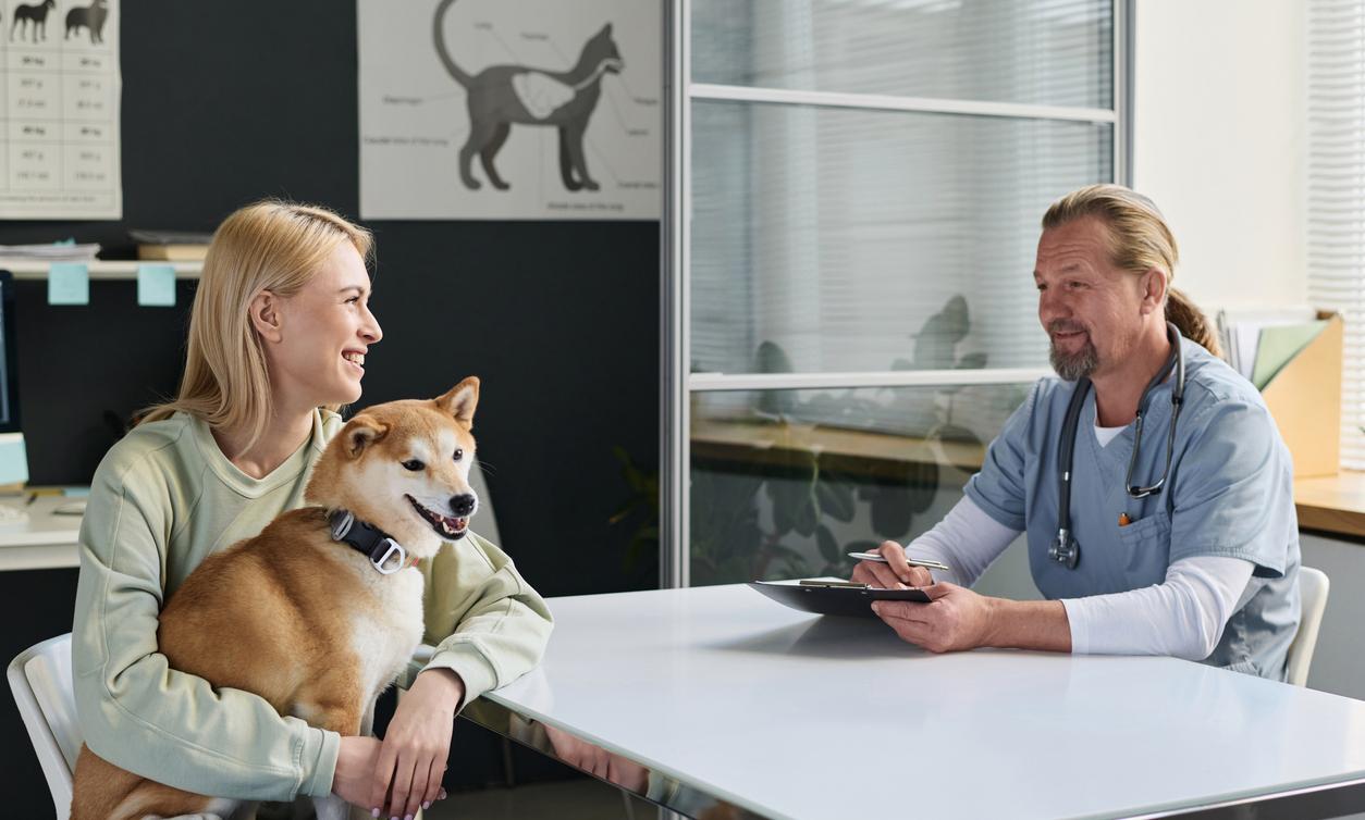 What Is Rage Syndrome in Dogs? Details Here