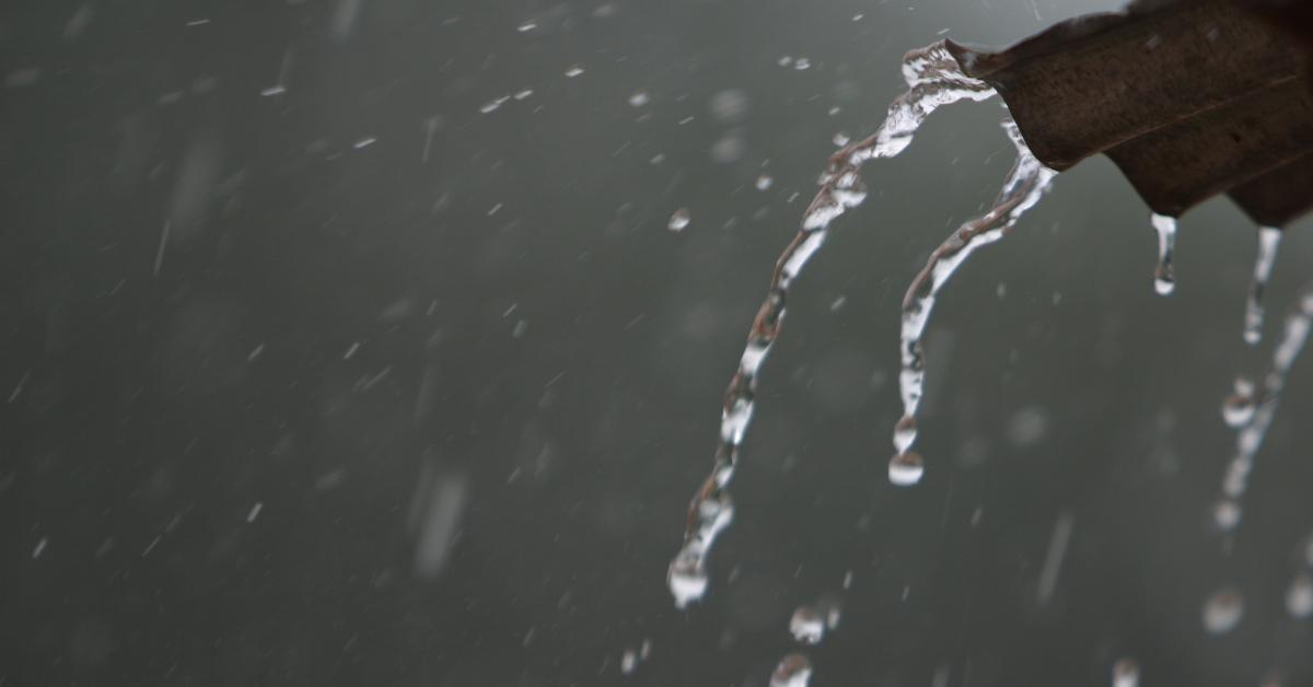 Water Conservation Landscaping Ideas — Check Out These Techniques