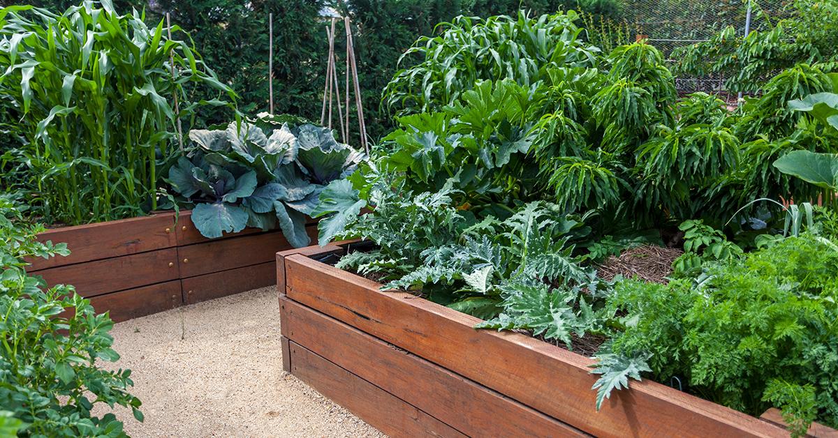 5 Urban Farms Around The U.S. Changing Their Communities For The Better