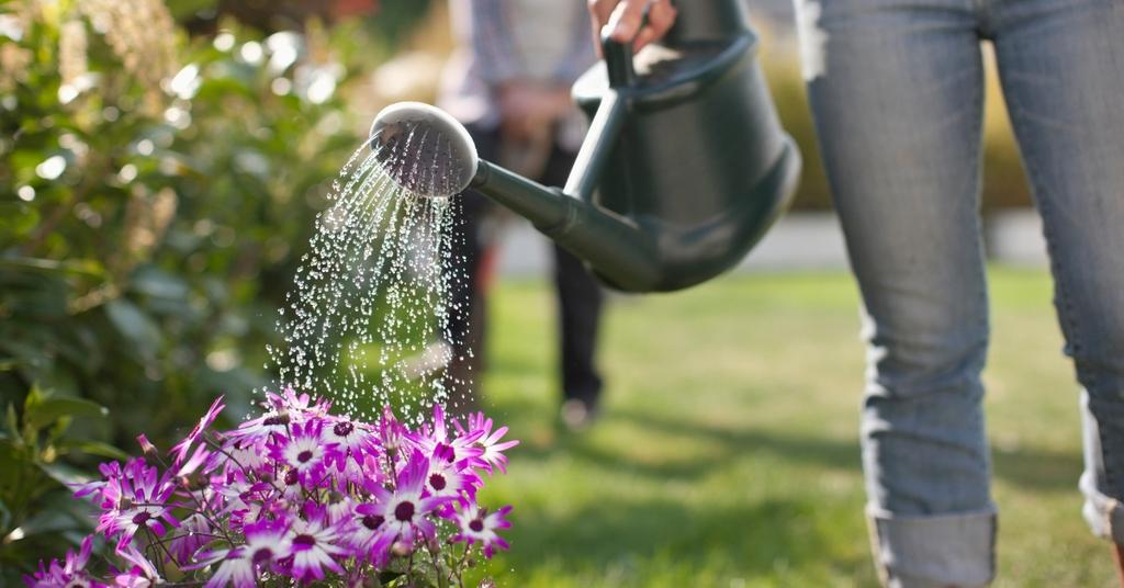 Water Conservation Landscaping Ideas — Check Out These Techniques