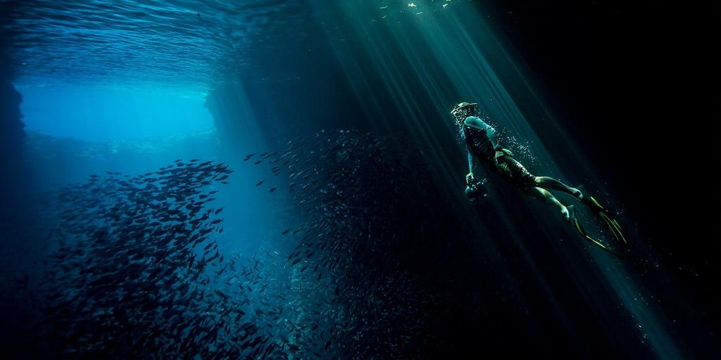 The best documentaries about the environment currently on Netflix