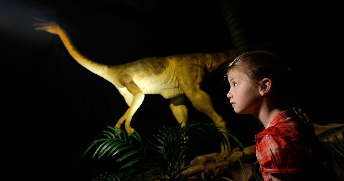 Did Climate Change Kill the Dinosaurs?