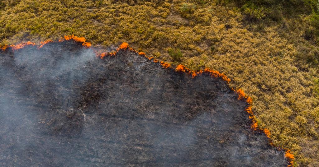 Climate Change and Wildfires