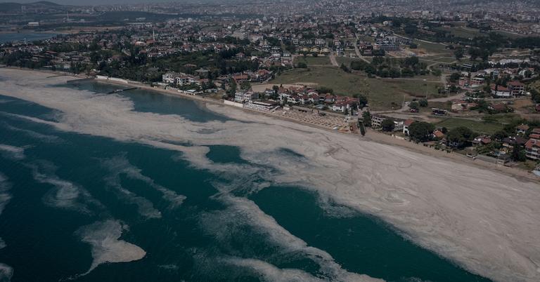 What Is Sea Snot? What to Know About This Serious Oceanic Issue