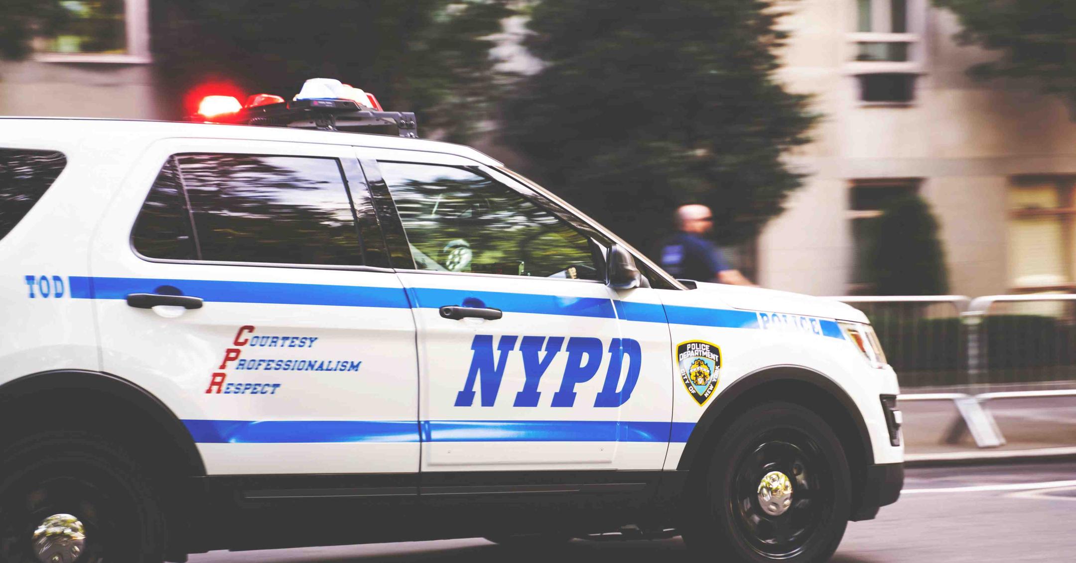 What Happened to the Bronx Police Seals?