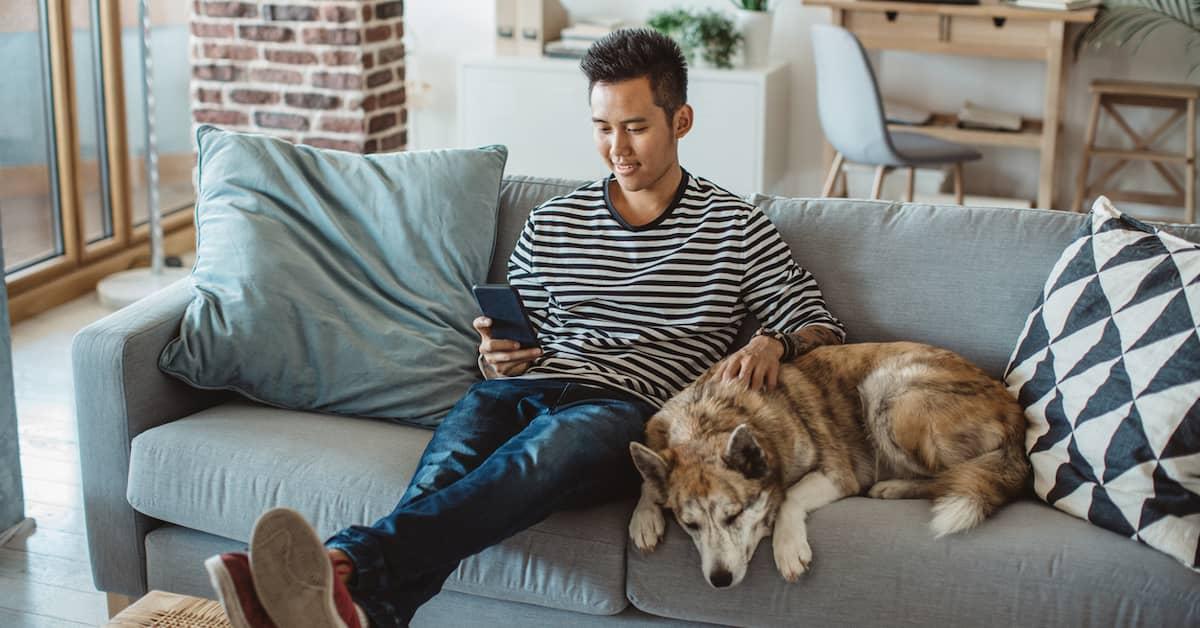 Best Couch Material for Dogs: Pet-Resistant Sofa Fabric