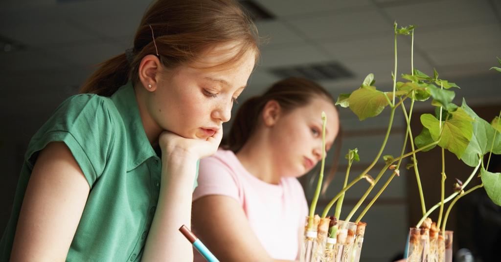 These Eco-Friendly Science Projects Are Perfect for Students