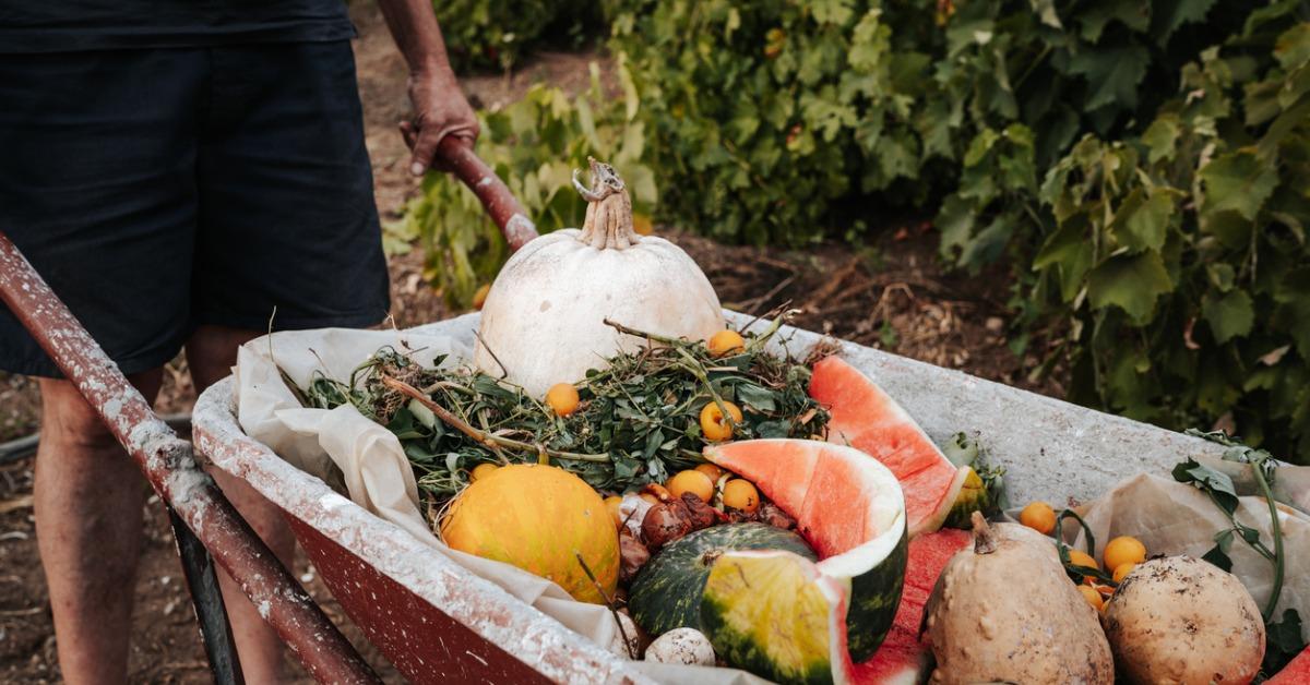 Eco Friendly Shipping Cushioning Magicwater Supply Biodegradable ...