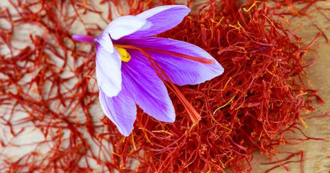 What Does Saffron Taste Like? Try This Unique Flavor Today