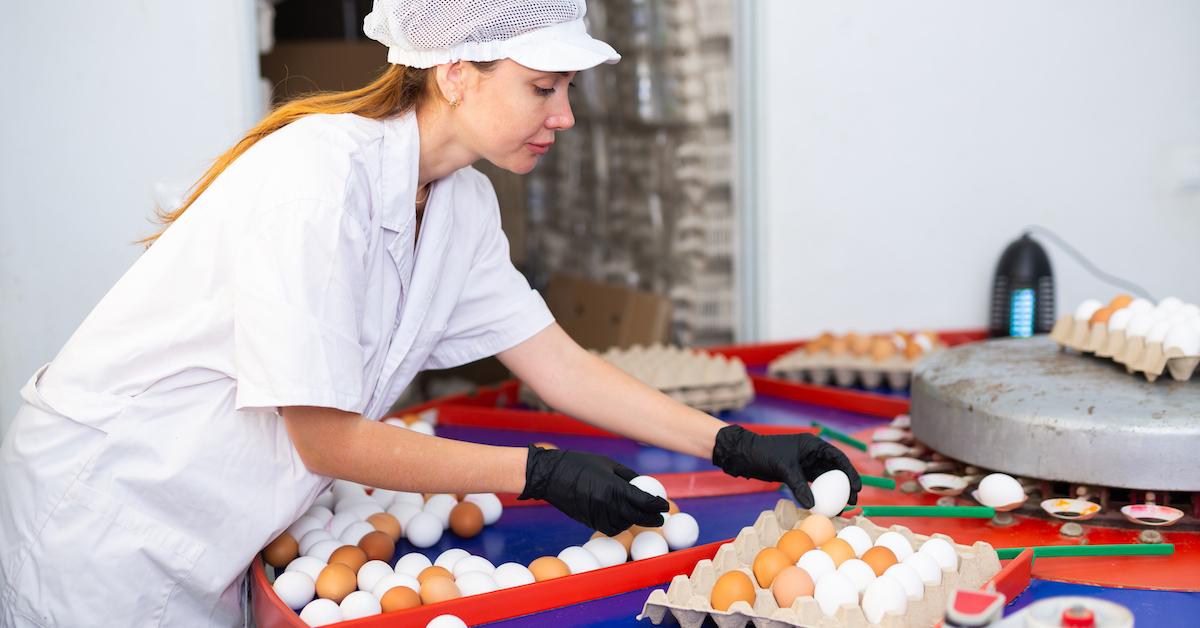 Bird Flu Forces Egg Shortage as Egg Prices Skyrocket