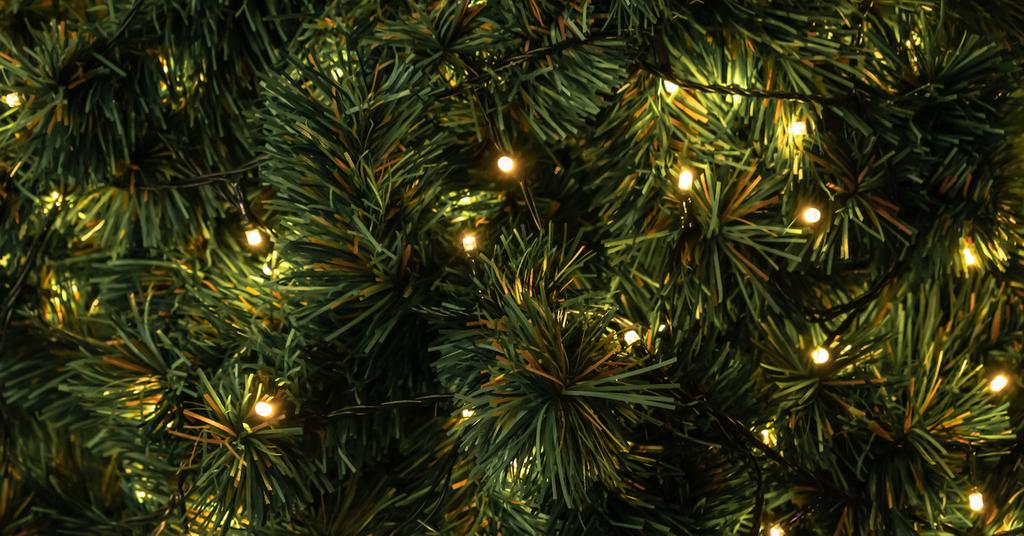 Sustainable Christmas Lights for Jolly and Eco-Friendly Decorating
