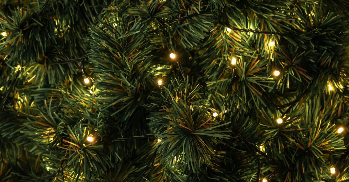 Sustainable Christmas Lights for Jolly and Eco-Friendly Decorating