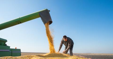 The Pros and Cons of GMOs