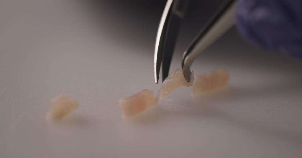 ‘Meat the Future’ Documentary Chronicles Cultivated Meat Company