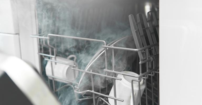 Can You Wash Your Dishes With Laundry Detergent?