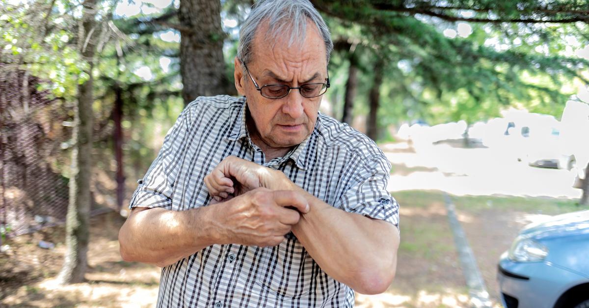 New Mosquito in Florida Concerns Scientists Across the Country